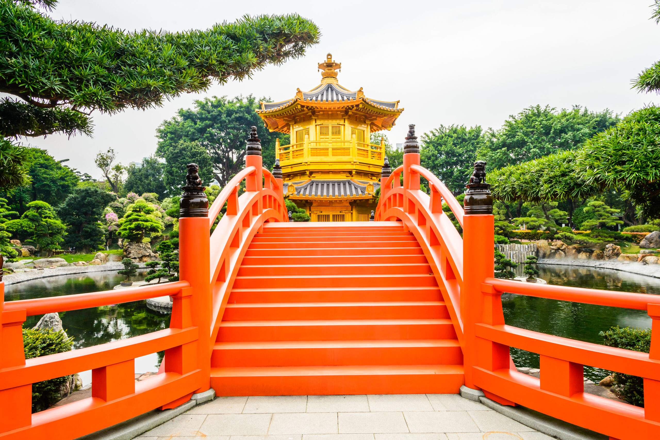 What to Expect in Your First Wing Chun Class | WCKUK